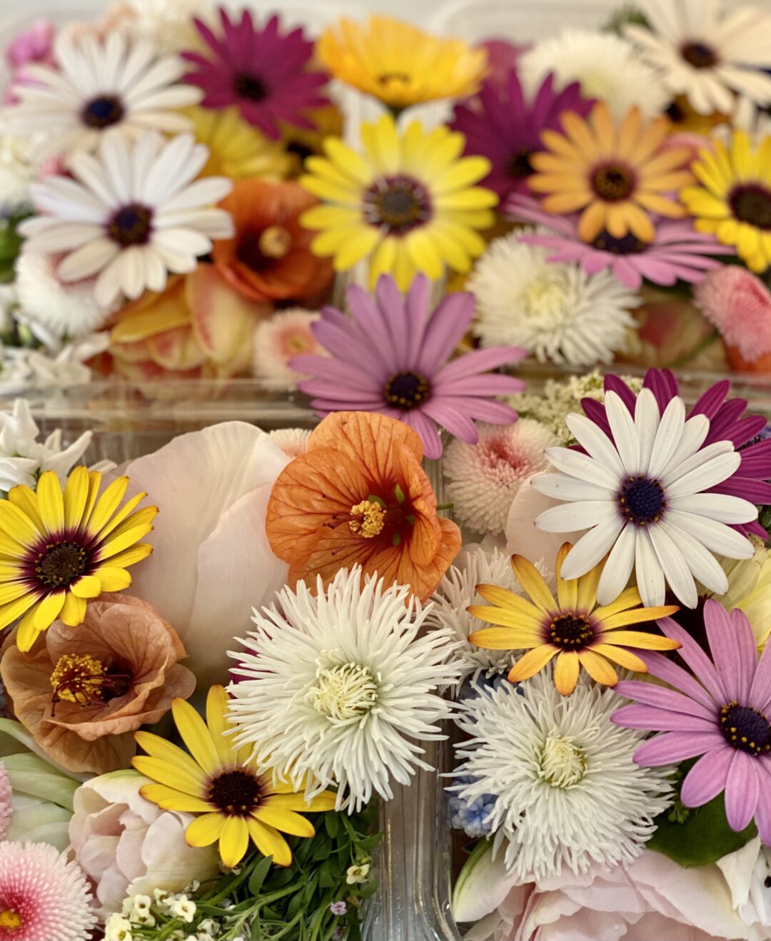 Seasonal Selection of Edible Flowers - COLLECTION ONLY - The Edible ...